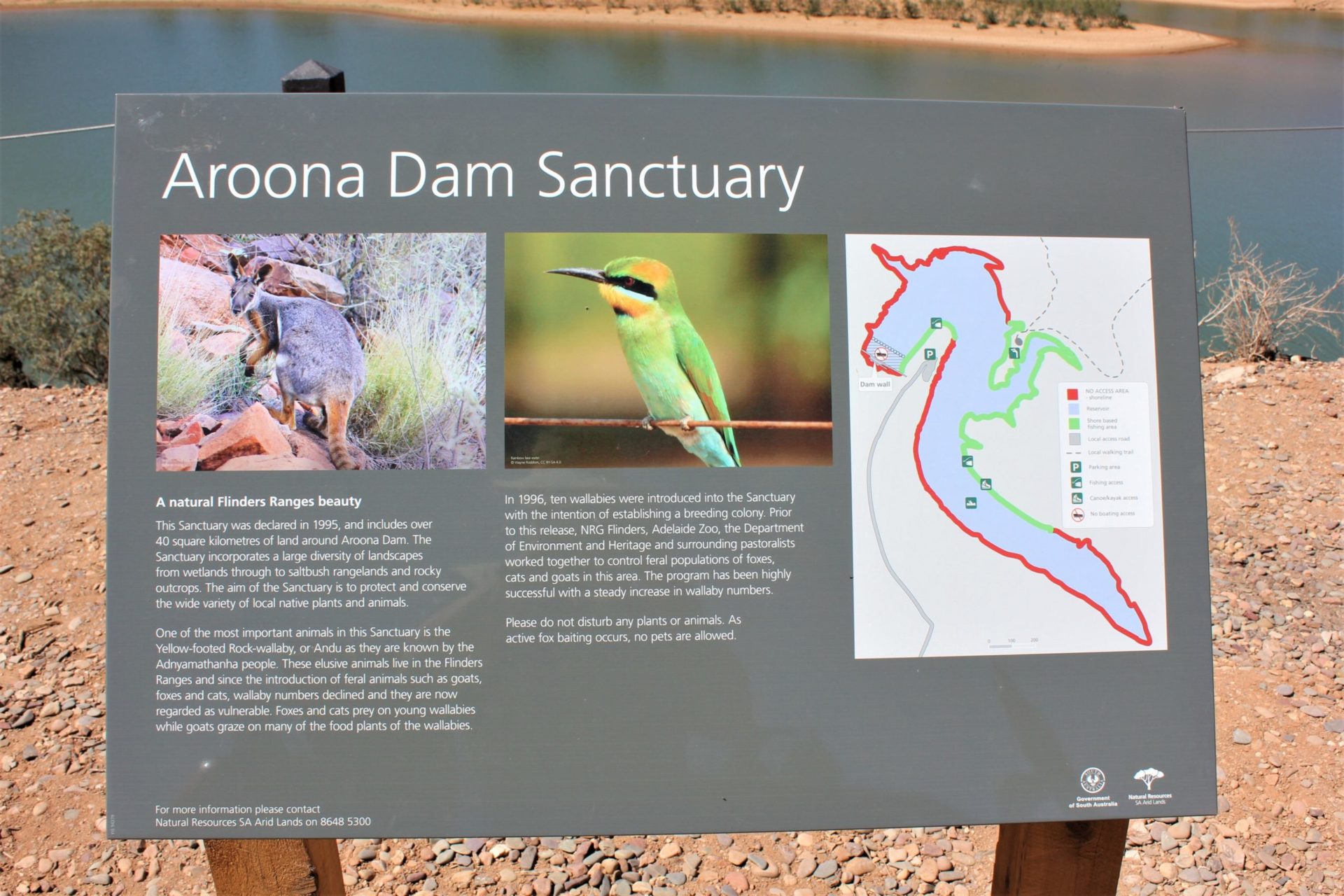 Aroona Dam Paddling Trail - Paddling Trails South Australia