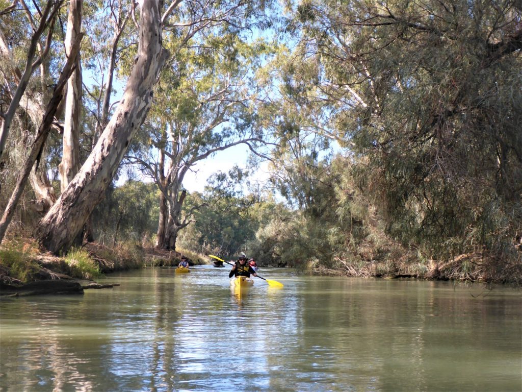 RIVERLAND - Paddling Trails South Australia