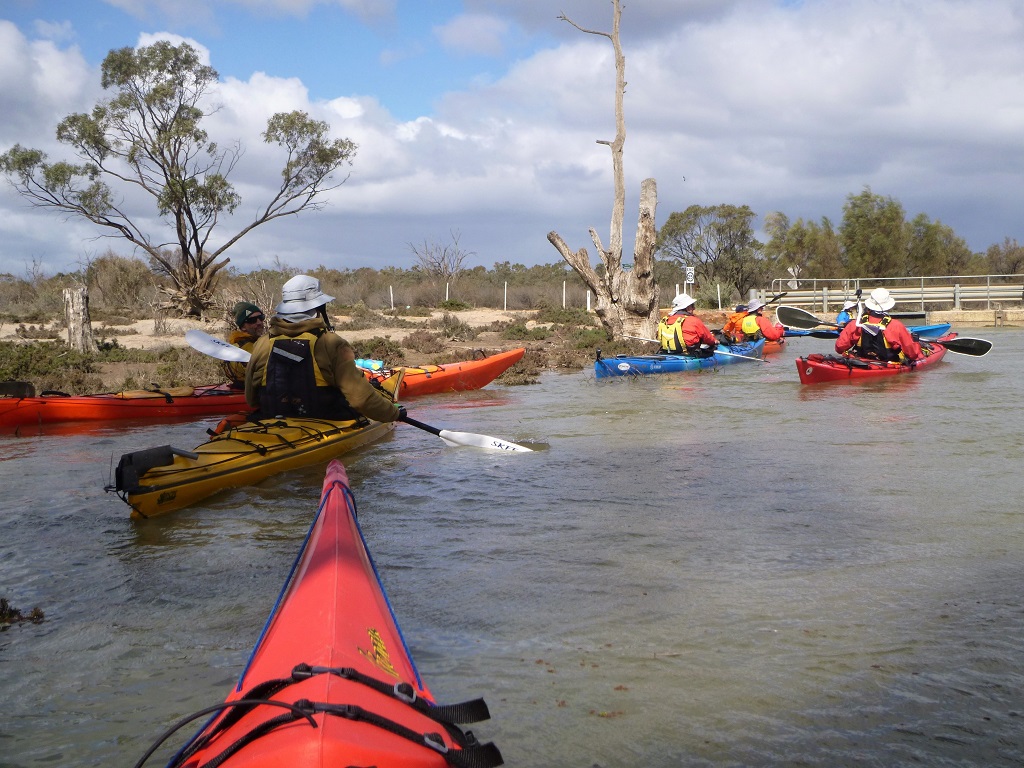 lock 4 eckert creek loop trail - Paddling Trails South Australia
