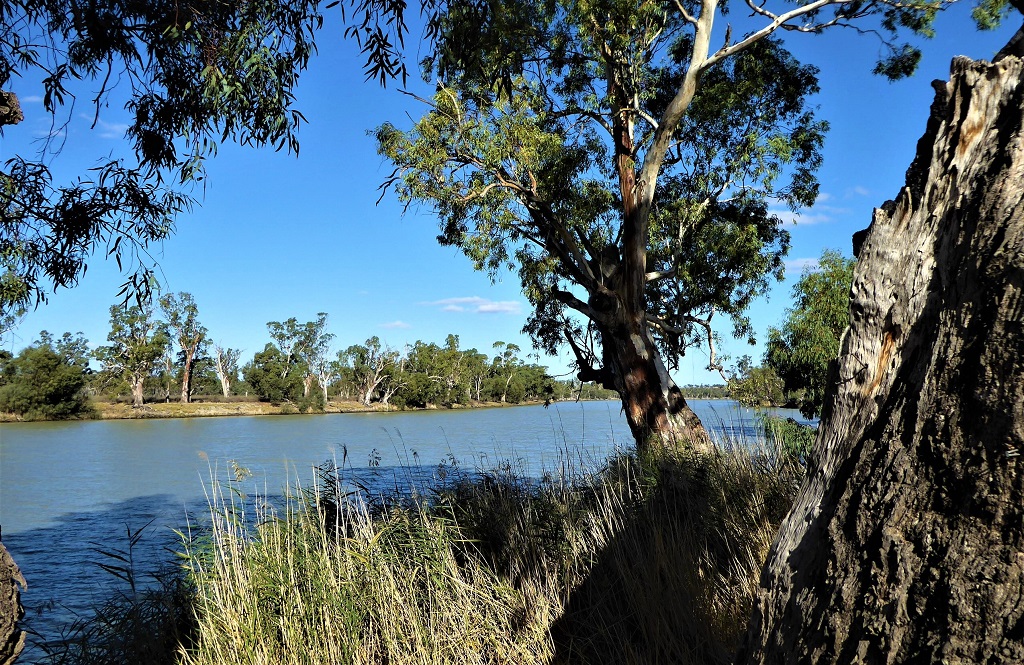 punyelroo loop trails - Paddling Trails South Australia